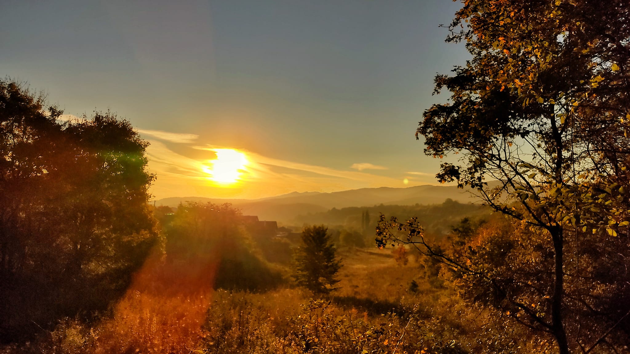 Infinite Flow Institute